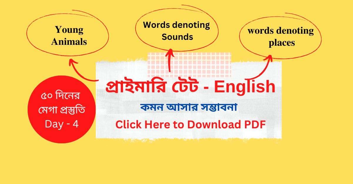 Primary TET: ইংরেজির সাজেস্টিভ স্টাডি মেটিরিয়াল - Santu Sir